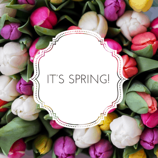 It’s Spring | Above Rubies or Pearls